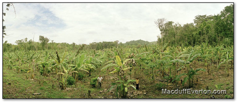 The Milpa Cycle - Exploring Solutions Past